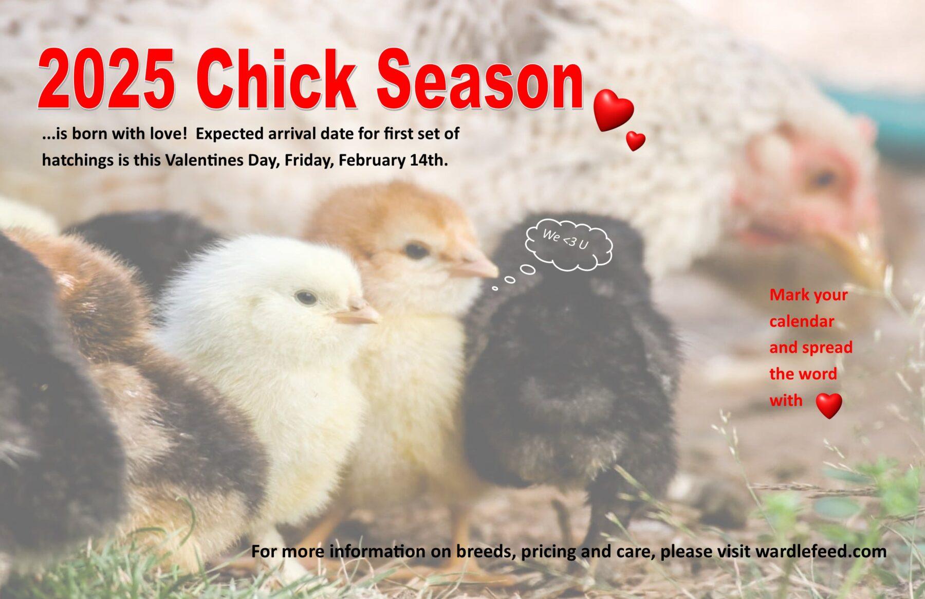 Chickens and poultry overview - Wardle Feed & Pet Supply